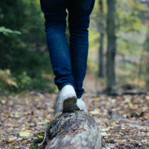 Thinklocal Magazine – Everything Local for St Neots and the surrounding ...